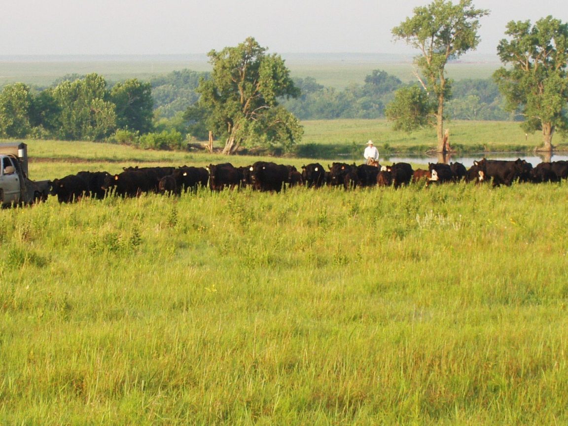 Home - Ranchland Trust of Kansas