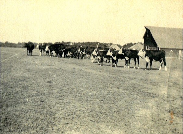 Flying H Ranch - Ranchland Trust of Kansas